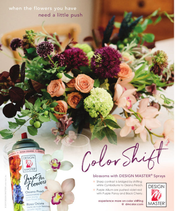 Design Master ColorTool and Dye - Carte Fini