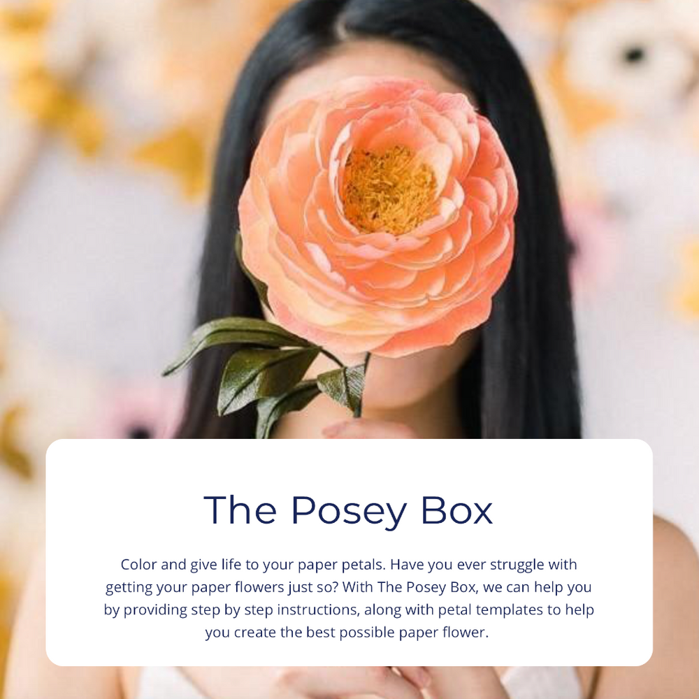 Artist Workshops and Classes - Carte Fini