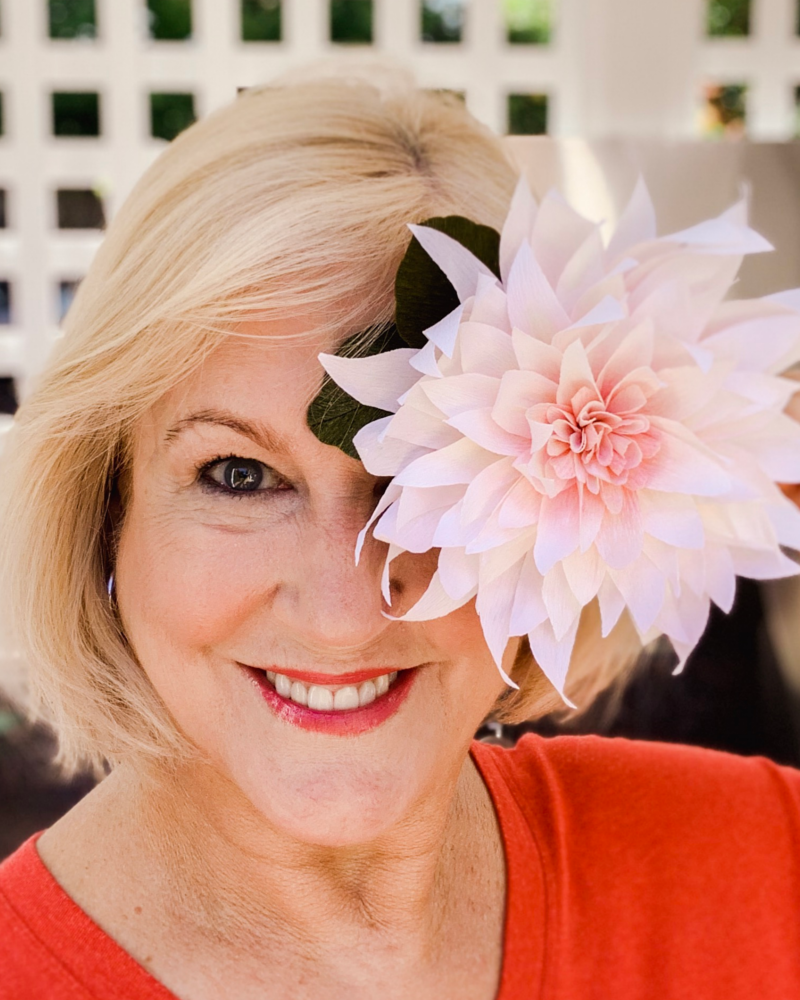 artist profiles - Carte Fini